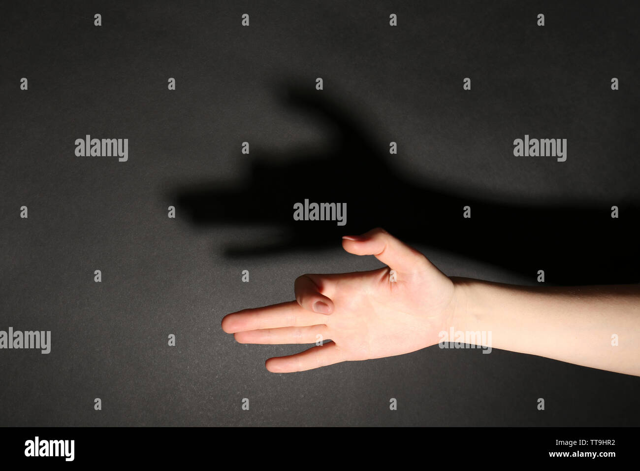 Female hand forming dog face shadow on dark background Stock Photo - Alamy