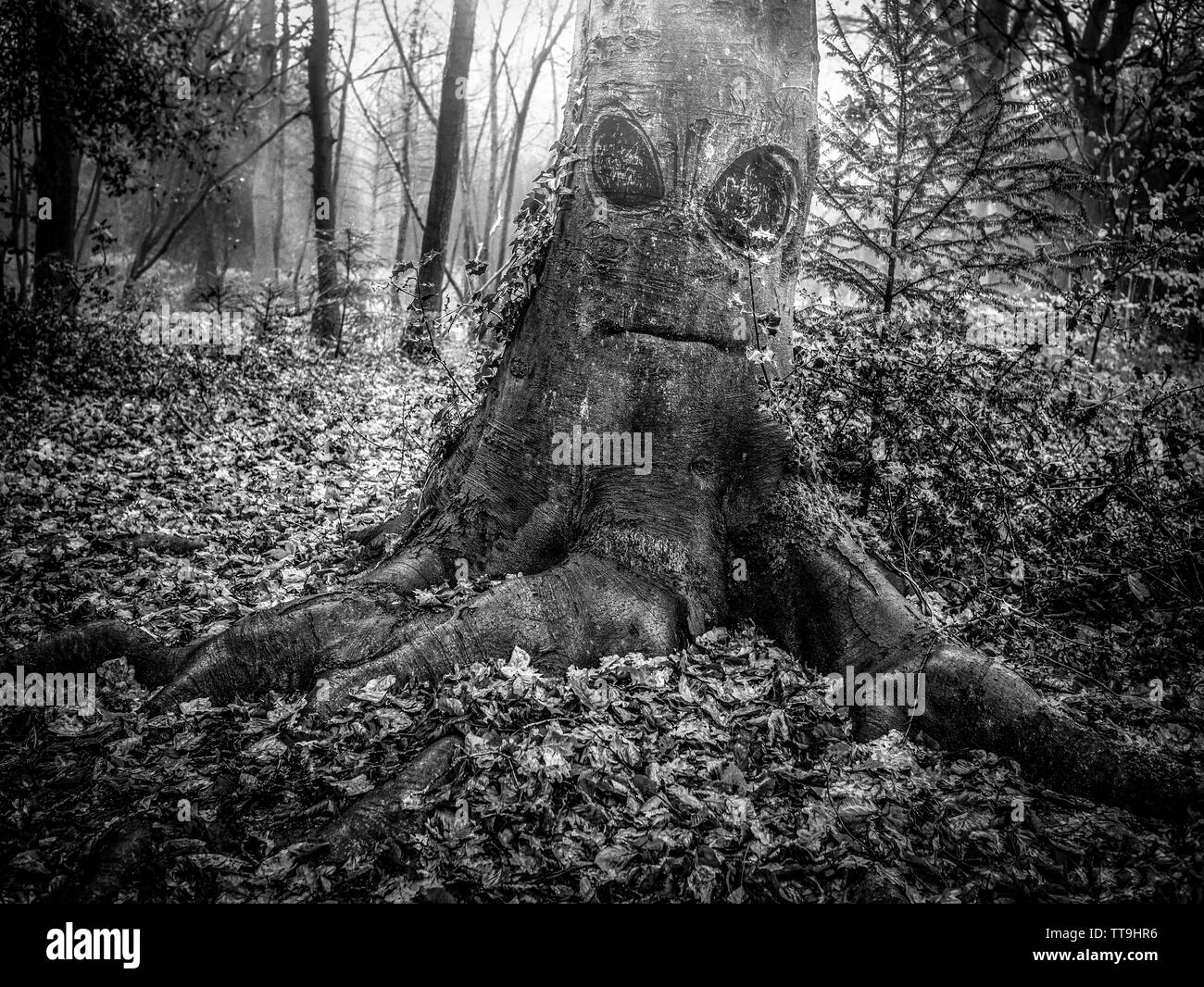 Supernatural Monster Tree in Black and White Stock Photo - Alamy