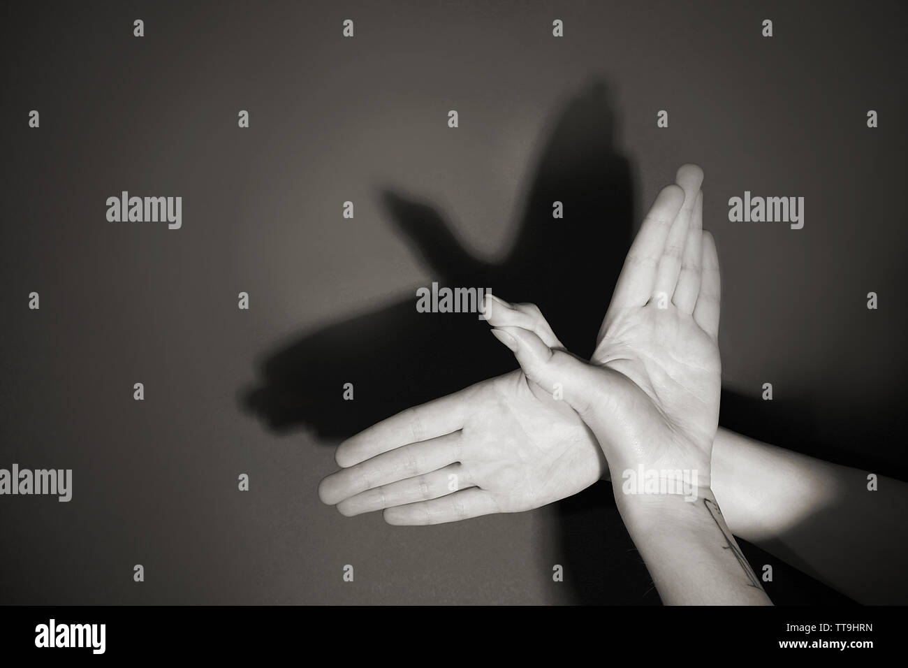 Hand shadows animals hi-res stock photography and images - Alamy