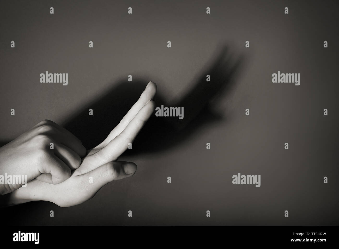 Hand shadows animals hi-res stock photography and images - Alamy