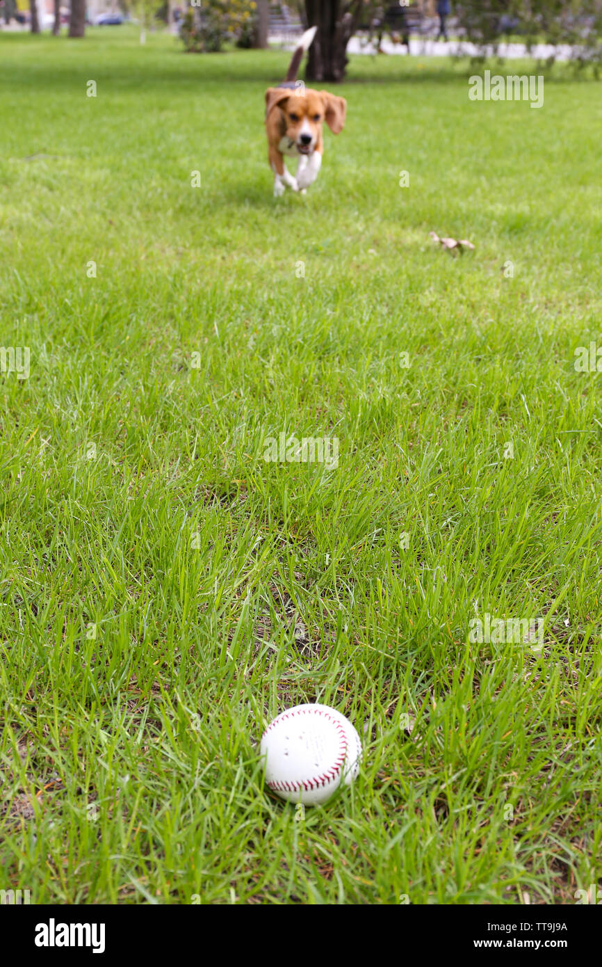 Small baseball field hi-res stock photography and images - Alamy