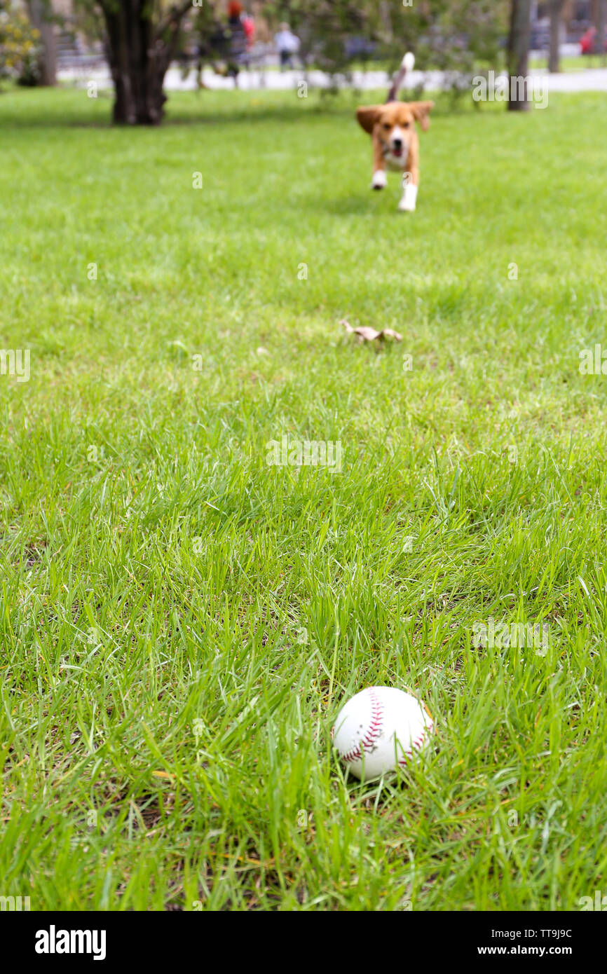 Small baseball field hi-res stock photography and images - Alamy