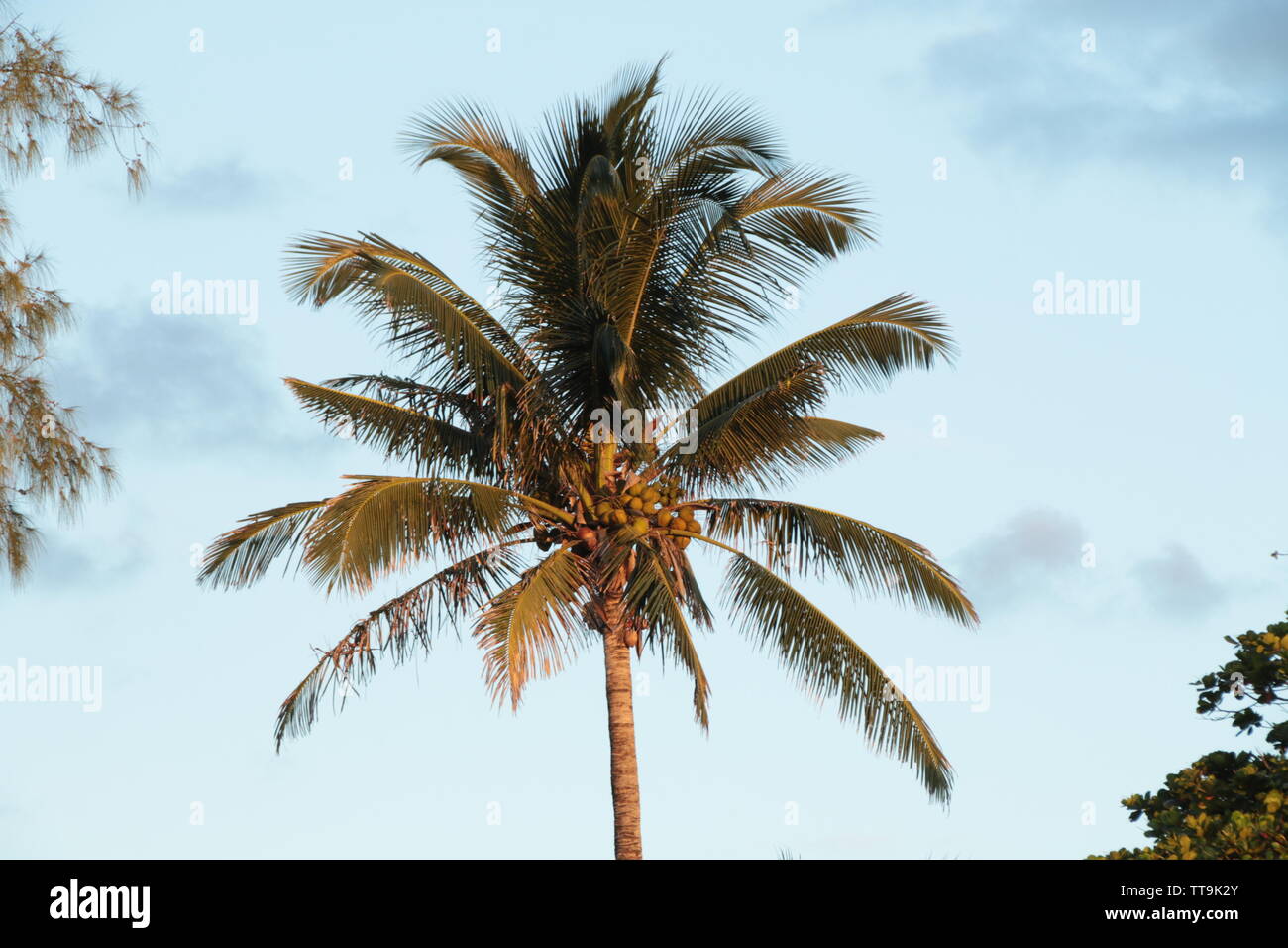 Blue bay beach in mauritius hi-res stock photography and images - Alamy