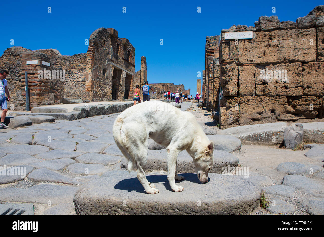 City Of Pompeii Naples Italy