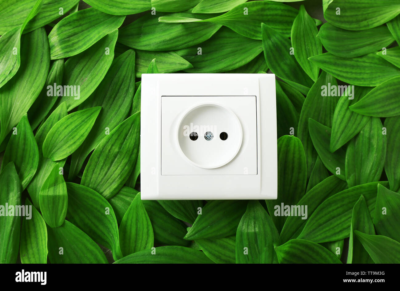 Socket isolated on white Stock Photo - Alamy