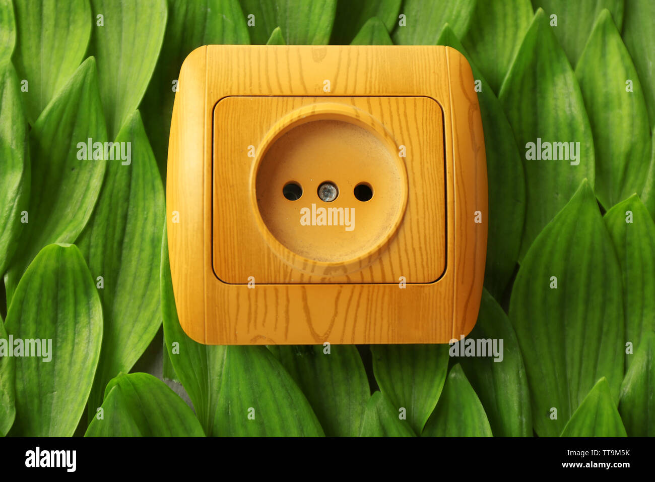 Socket isolated on white Stock Photo - Alamy