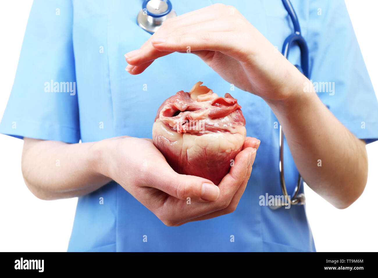 Heart in doctor hands isolated on white Stock Photo - Alamy