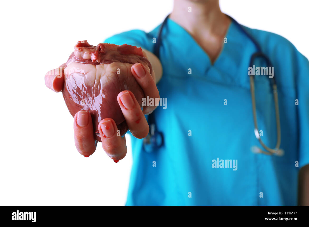 Heart in doctor hand isolated on white Stock Photo - Alamy