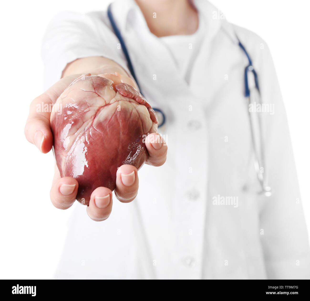 Heart in doctor hand isolated on white Stock Photo - Alamy
