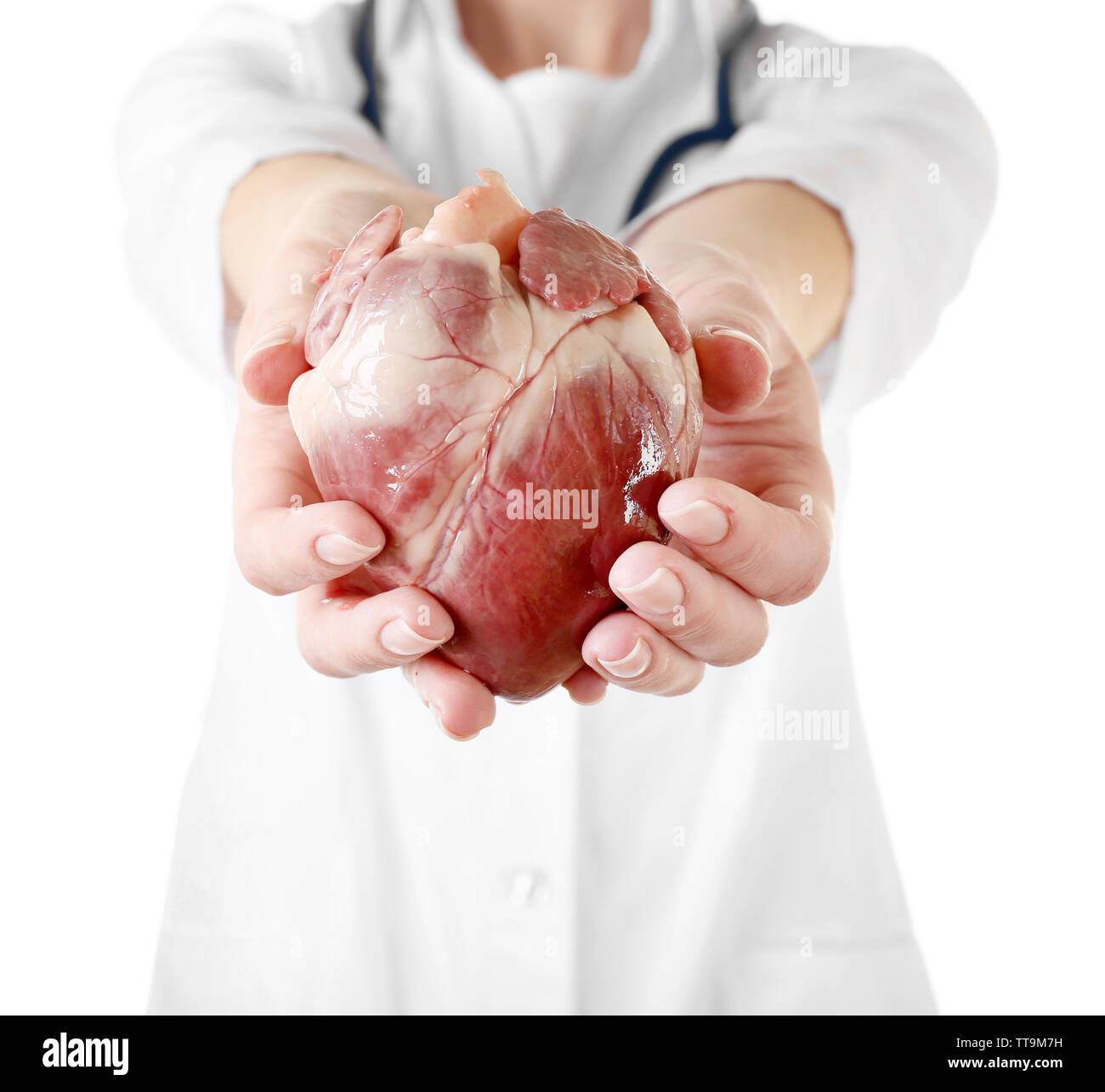 Heart in doctor hands isolated on white Stock Photo - Alamy