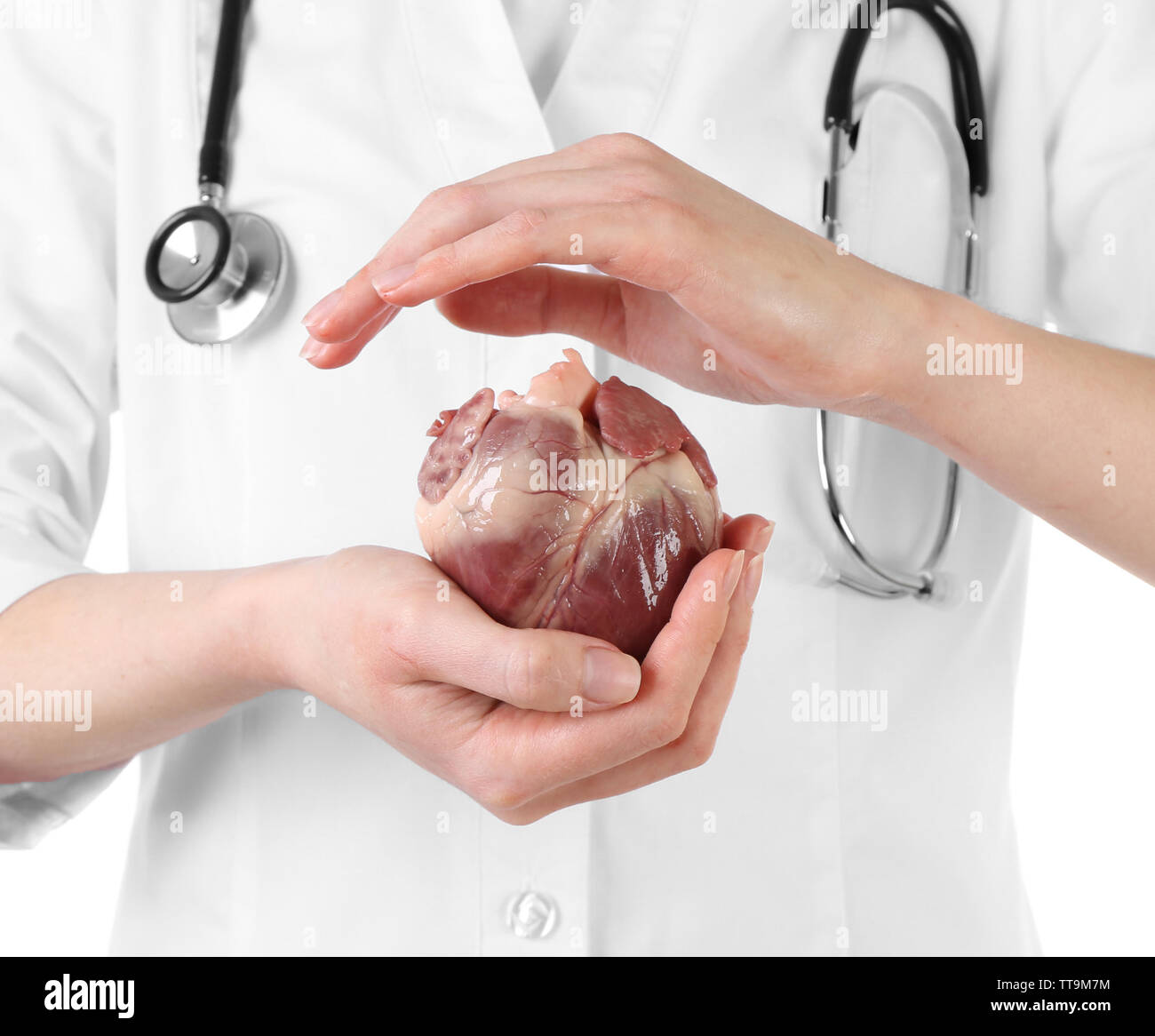 Heart in doctor hands isolated on white Stock Photo - Alamy