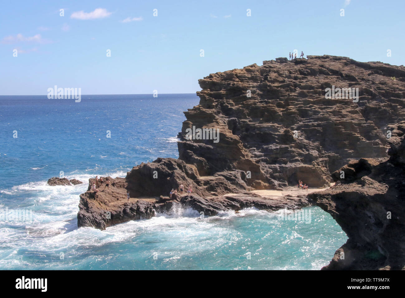 Halane blowhole hi-res stock photography and images - Alamy