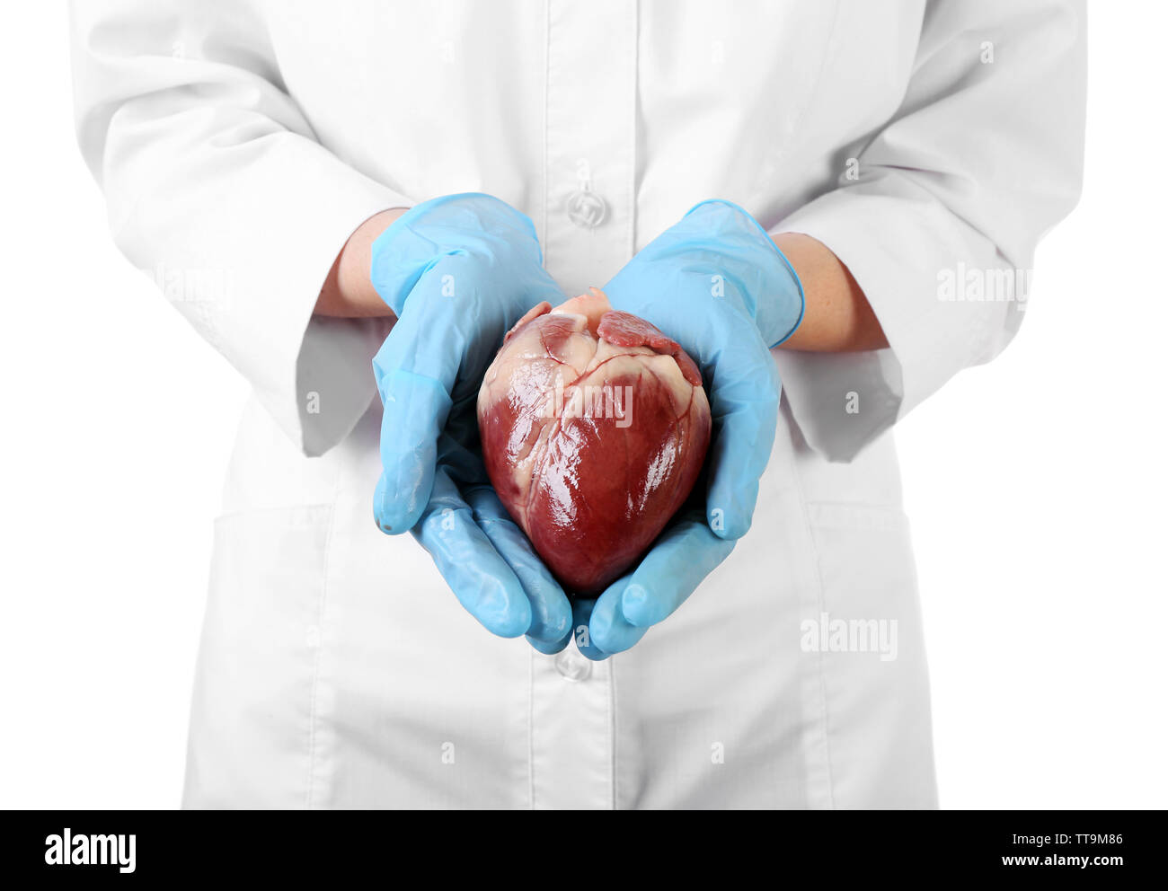 Heart in doctor hands isolated on white Stock Photo - Alamy