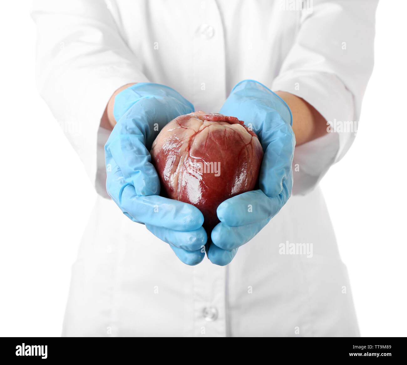 Heart in doctor hands isolated on white Stock Photo - Alamy