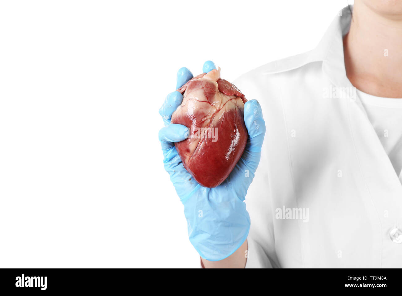Heart in doctor hand isolated on white Stock Photo - Alamy