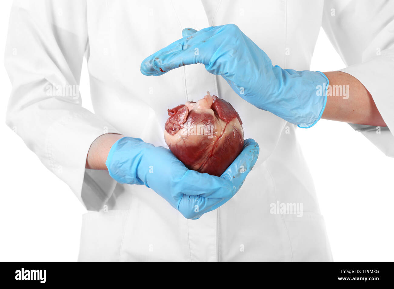 Heart in doctor hands isolated on white Stock Photo - Alamy