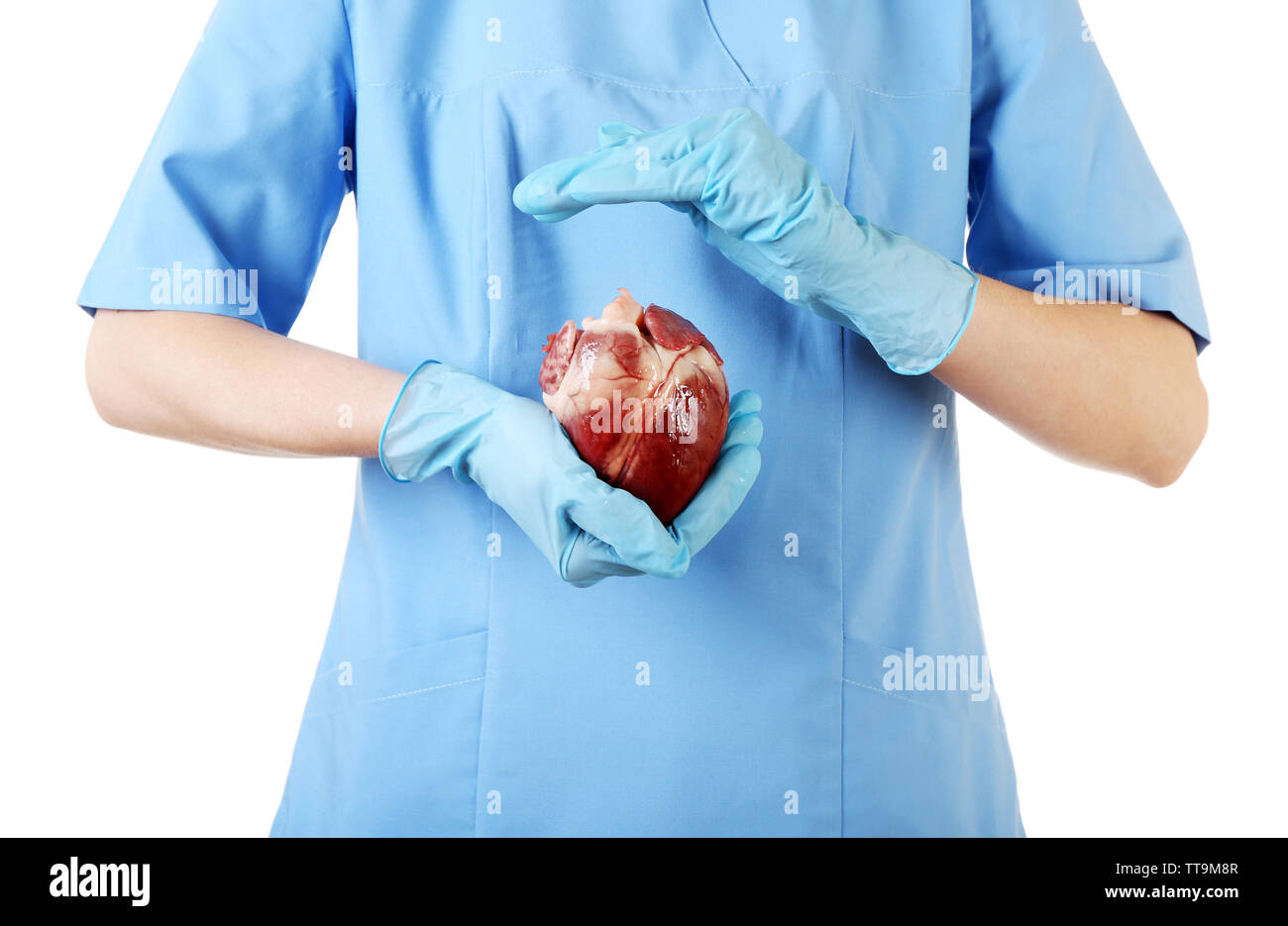Heart in doctor hands isolated on white Stock Photo - Alamy