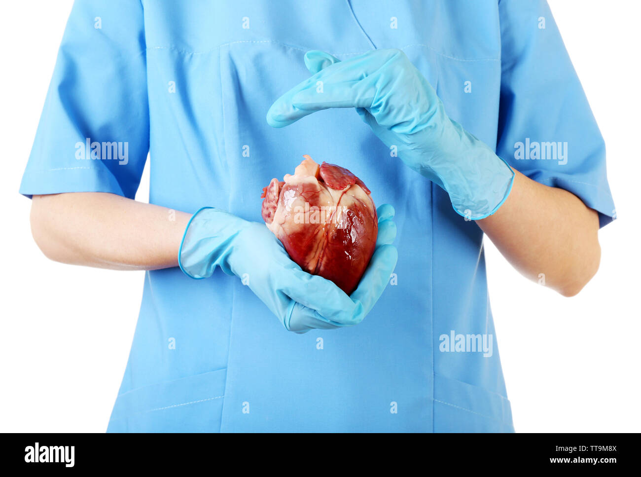 Heart in doctor hands isolated on white Stock Photo - Alamy
