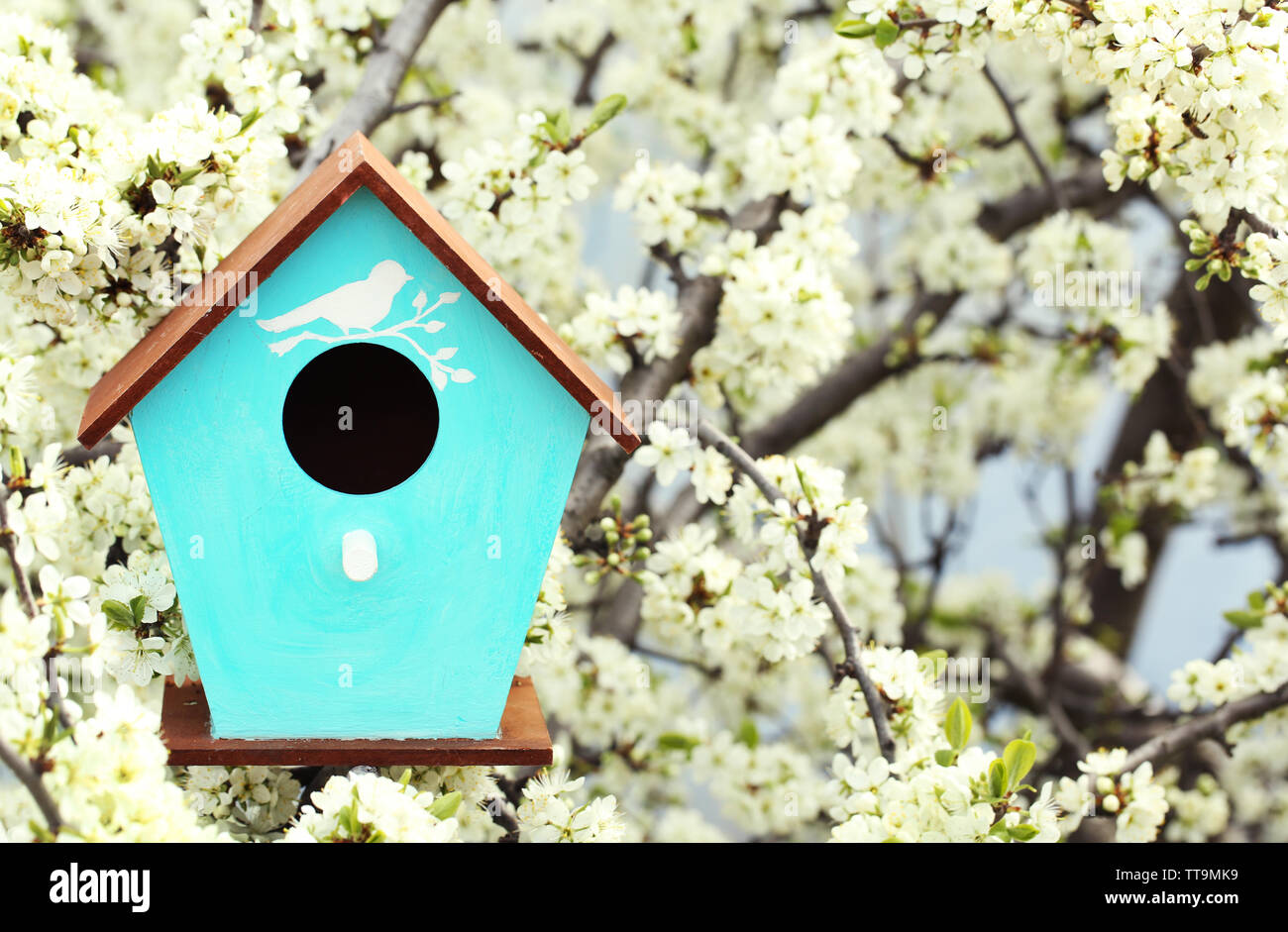 Decorative nesting box on bright background Stock Photo - Alamy