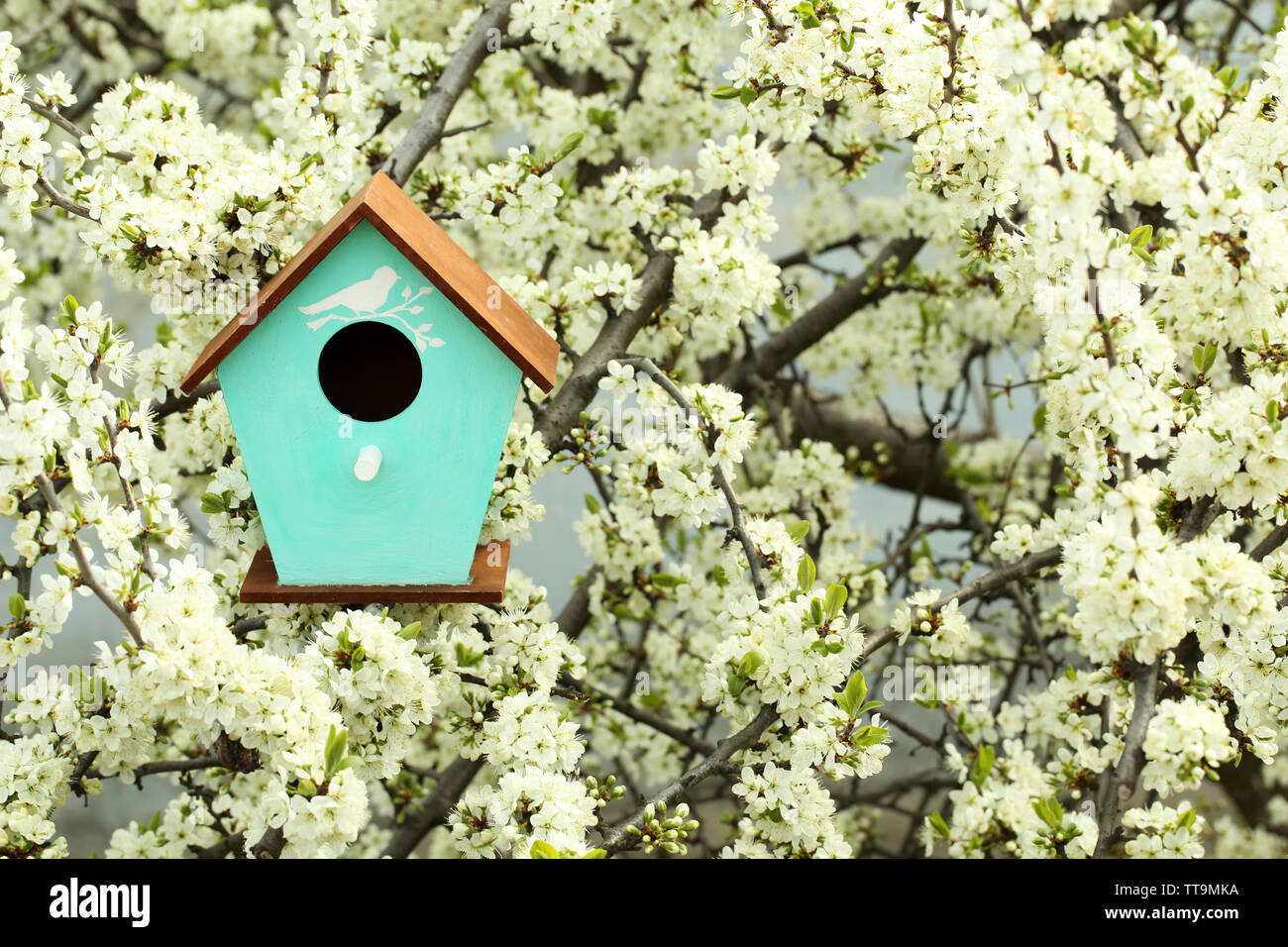 Decorative nesting box on bright background Stock Photo - Alamy