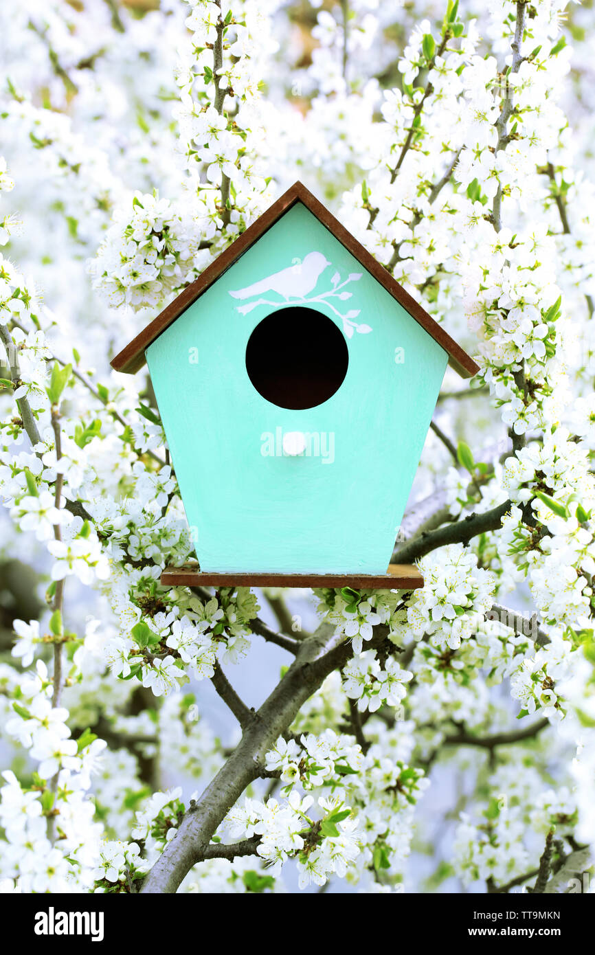 Decorative nesting box on bright background Stock Photo - Alamy