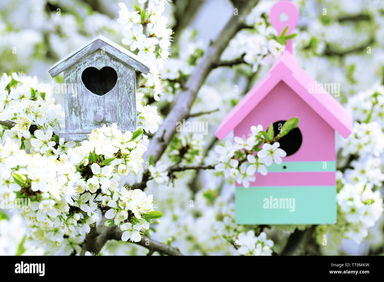 Decorative nesting boxes on bright background Stock Photo - Alamy