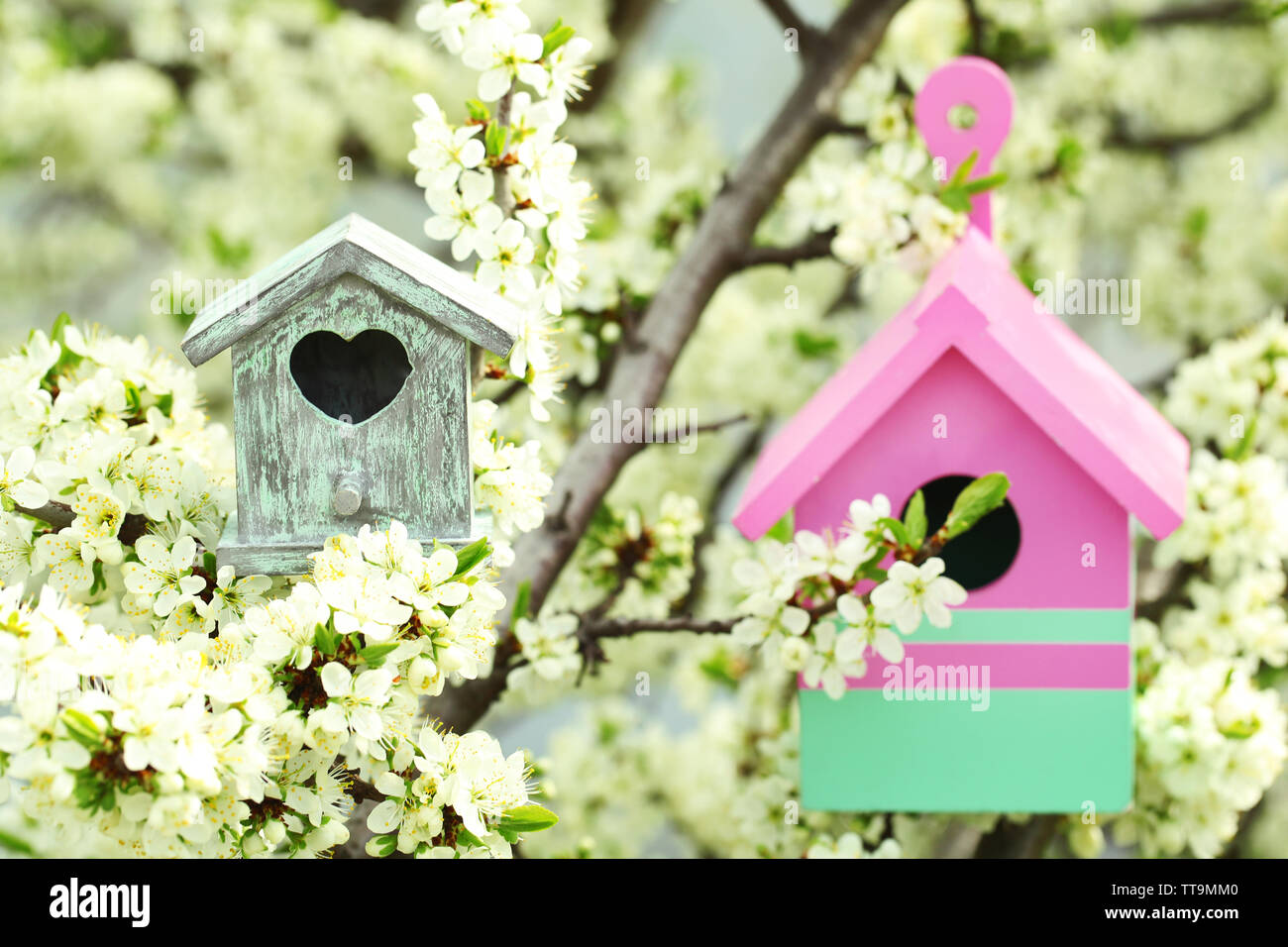 Decorative nesting boxes on bright background Stock Photo - Alamy