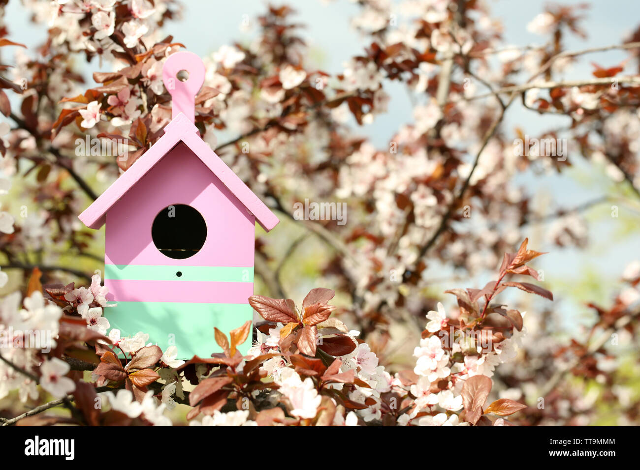 Decorative nesting box on bright background Stock Photo - Alamy