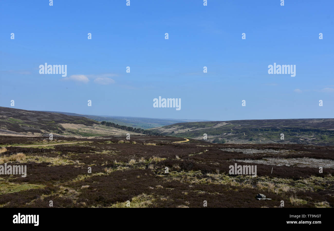 Gorgeous look at rural moors in the North Yorkshire in England Stock ...