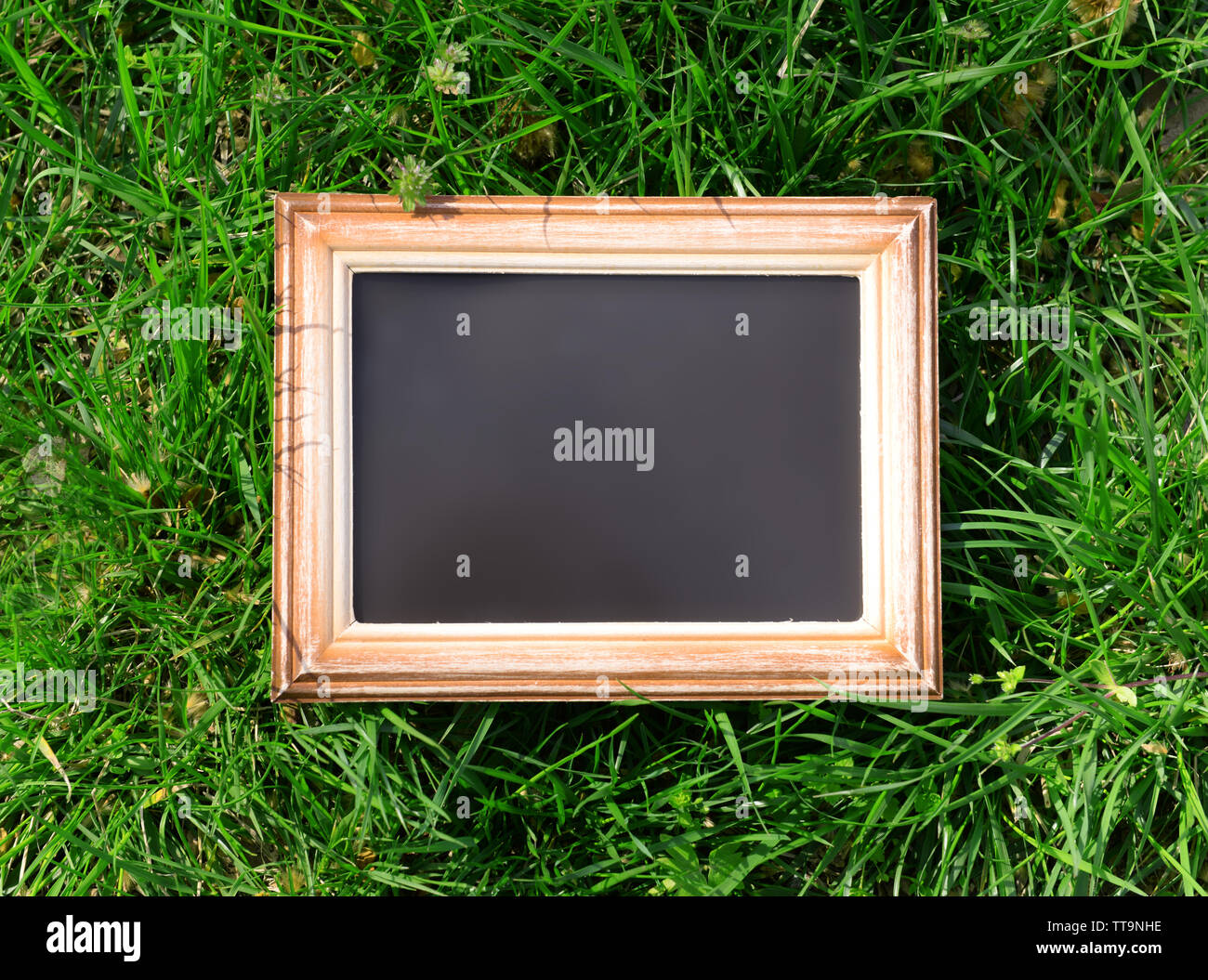 Photo frame over green bush background Stock Photo - Alamy