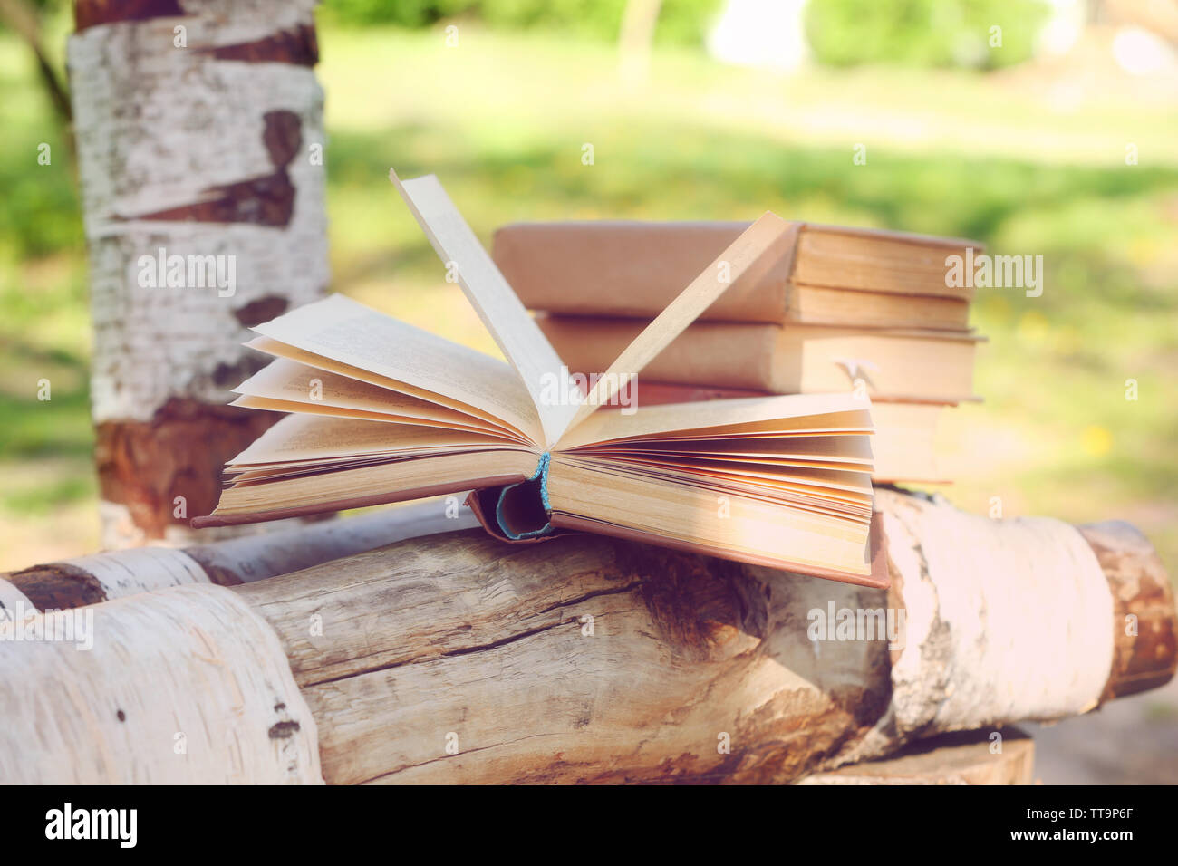 Stack of books on bench, outdoors Stock Photo - Alamy