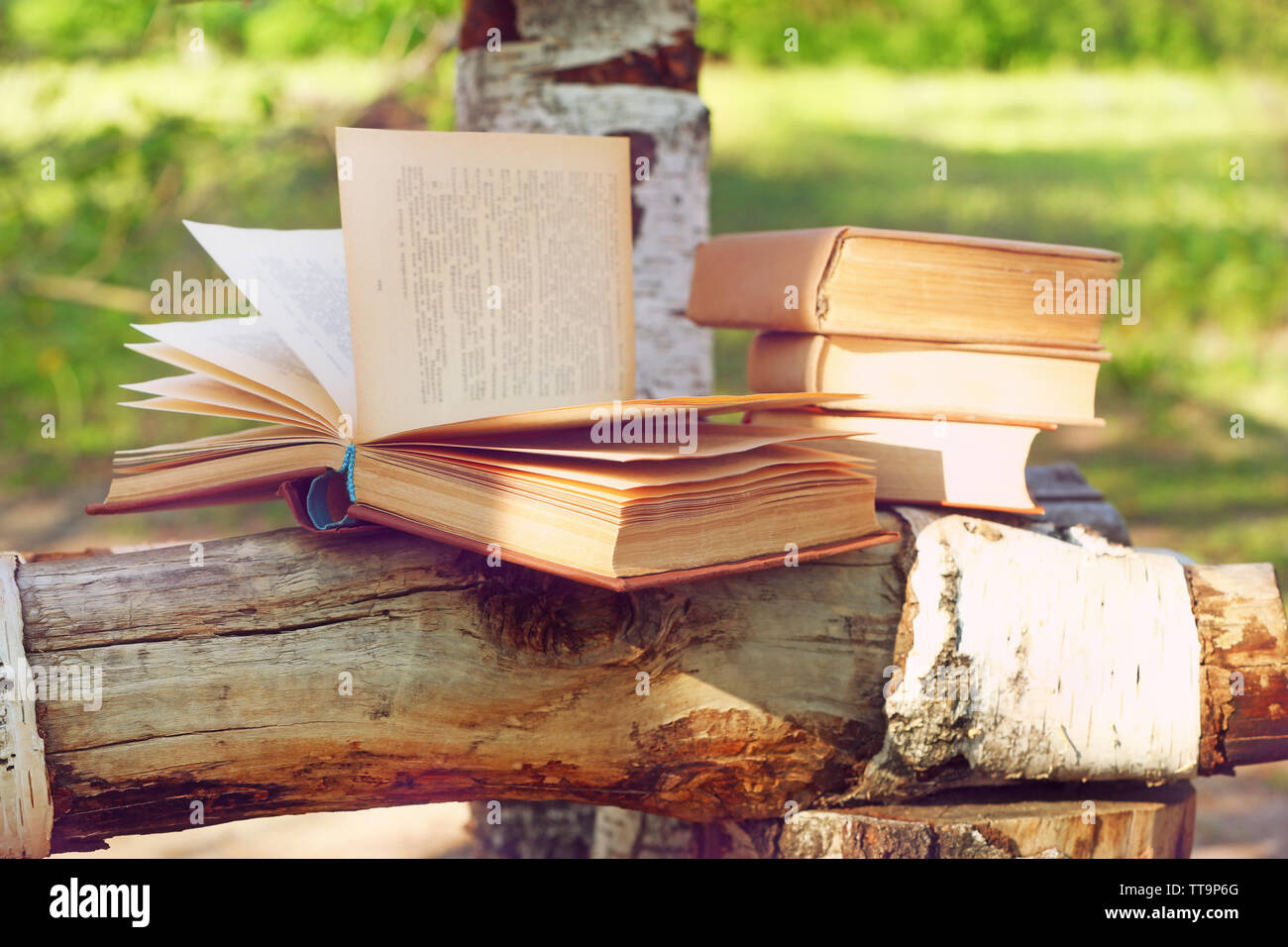 Stack of books on bench, outdoors Stock Photo - Alamy