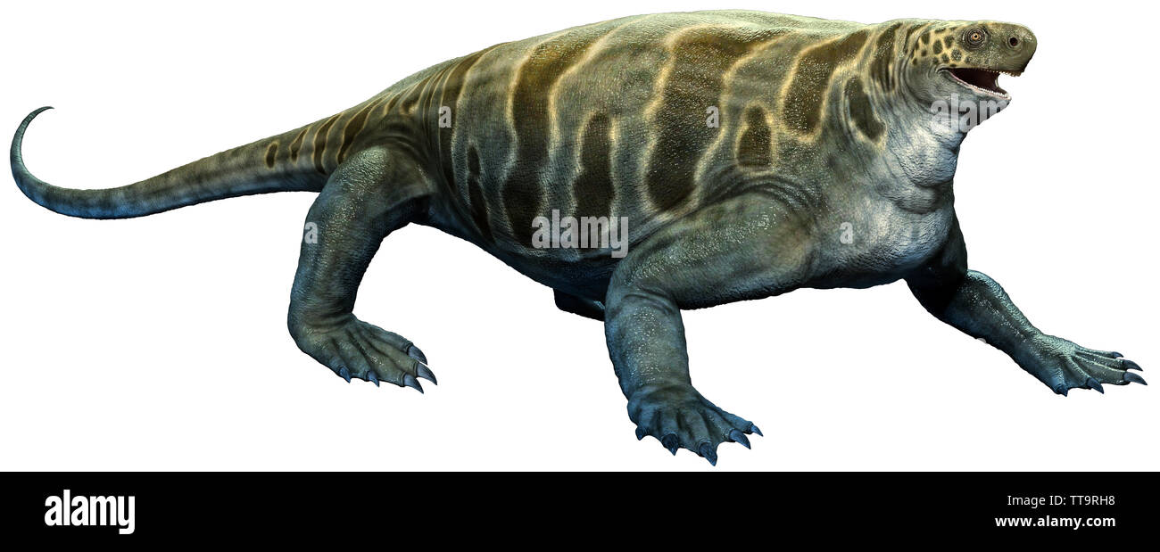 Permian Cut Out Stock Images & Pictures - Alamy