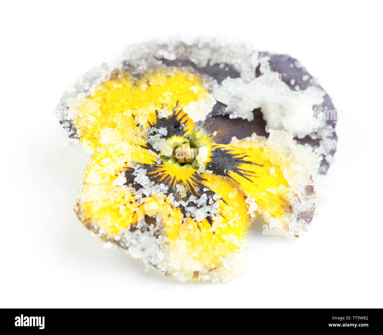 Crystallized flower Cut Out Stock Images & Pictures - Alamy