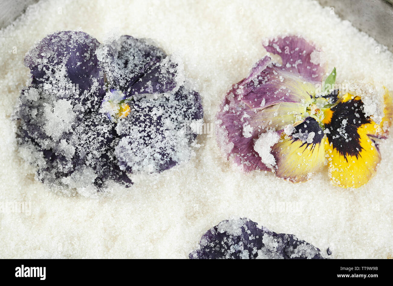 Candied sugared violet flowers, close-up Stock Photo - Alamy
