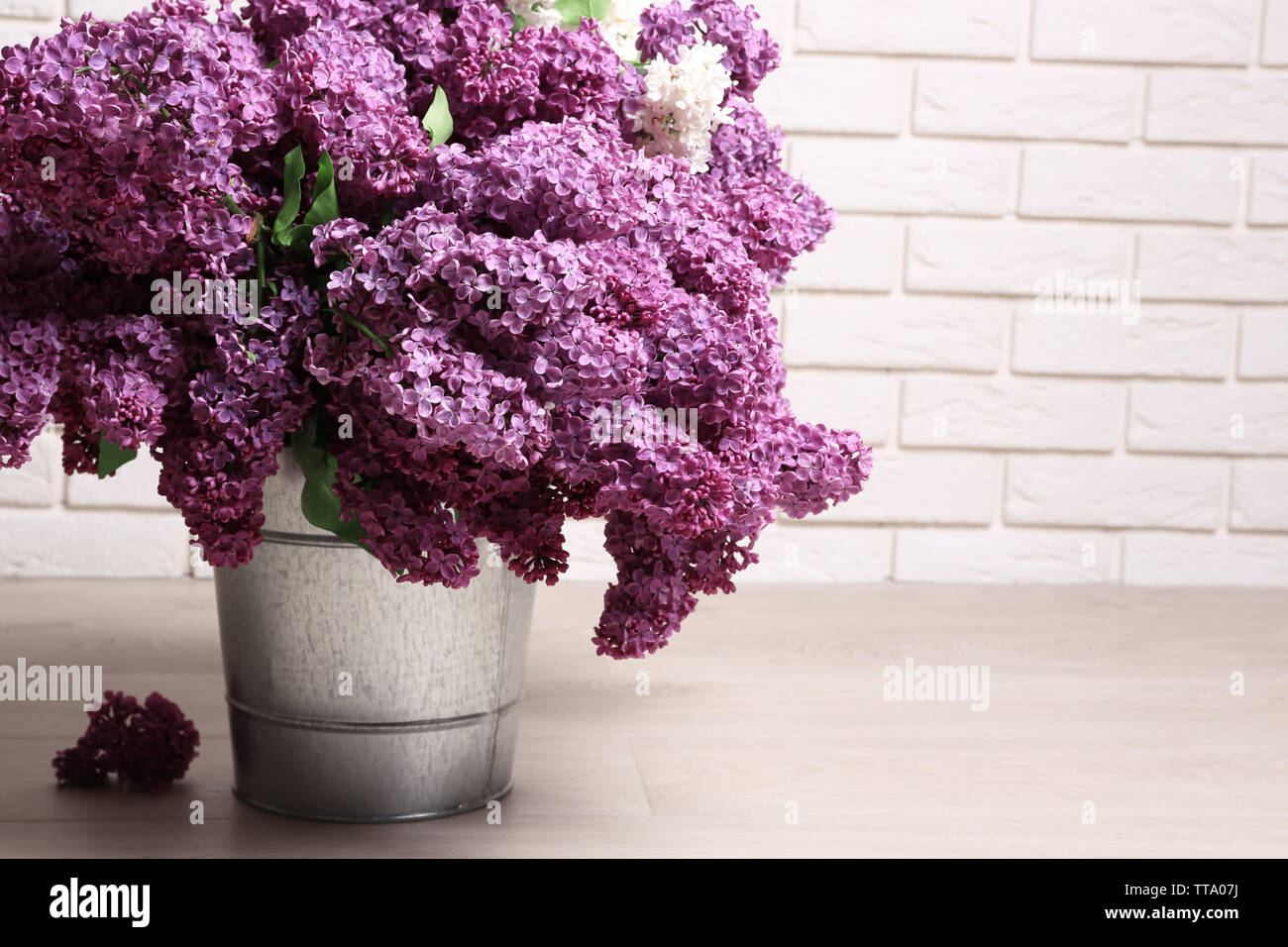 Beautiful lilac flowers in room close-up Stock Photo - Alamy