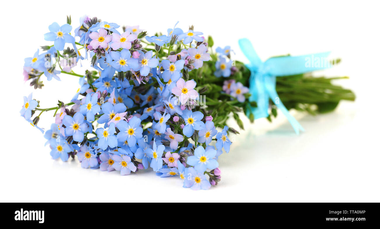 Blue forget nots myosotis Cut Out Stock Images & Pictures - Alamy