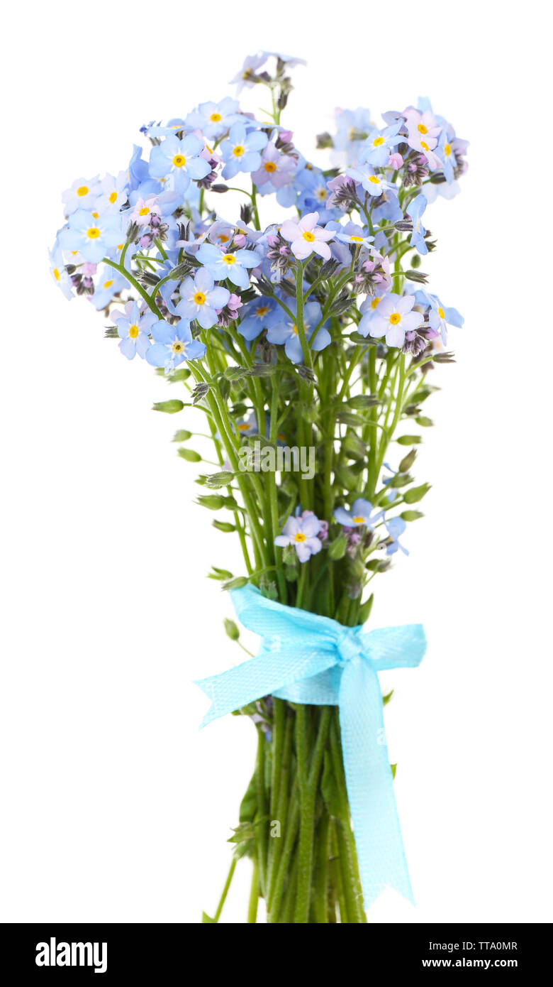 Forget-me-nots flowers, isolated on white Stock Photo - Alamy