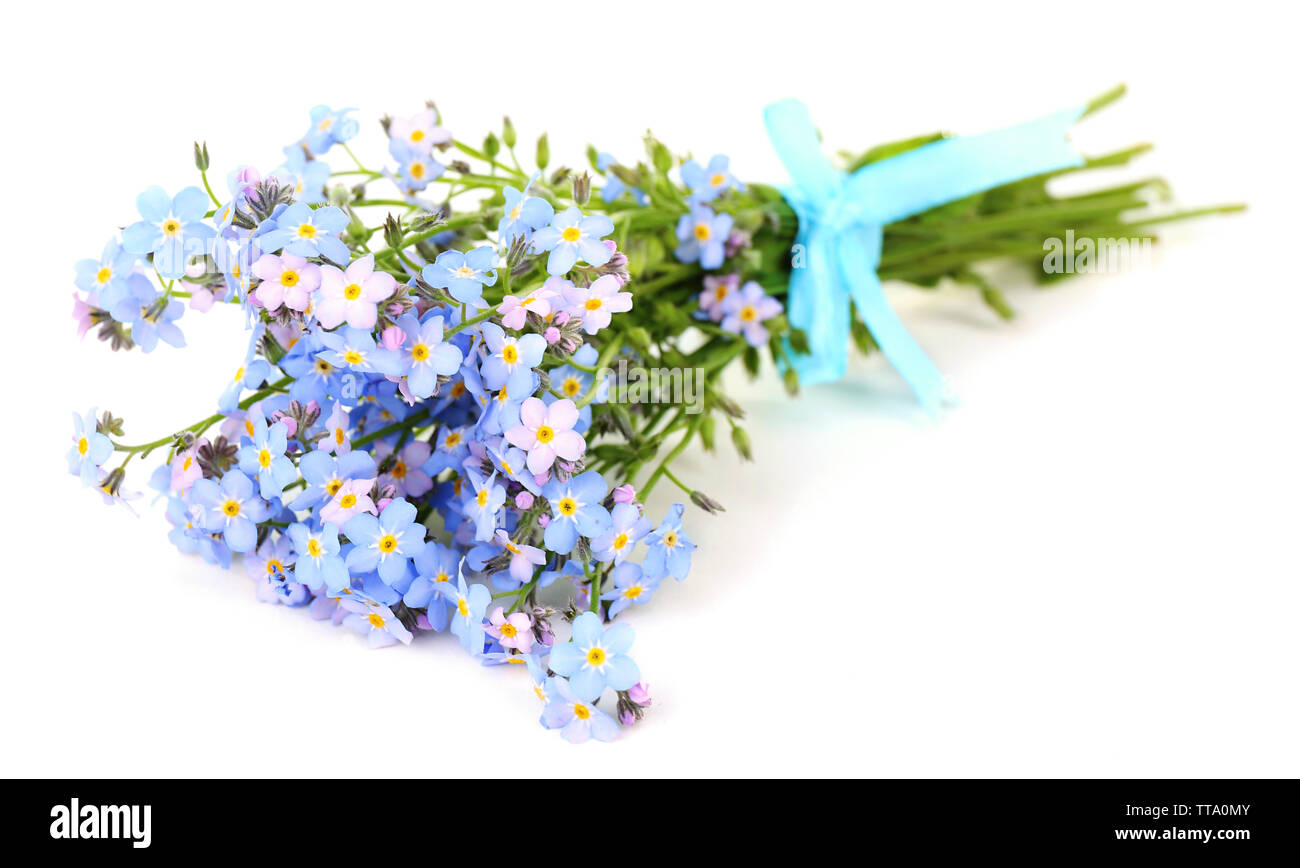 Blue forget nots myosotis Cut Out Stock Images & Pictures - Alamy