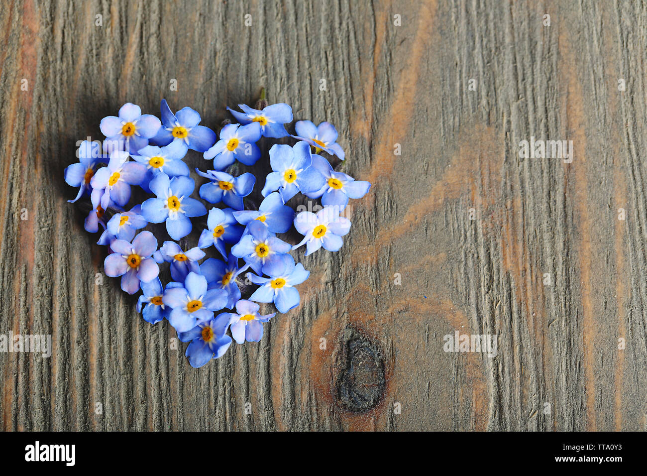 Forget-me-nots flowers on wooden background Stock Photo - Alamy