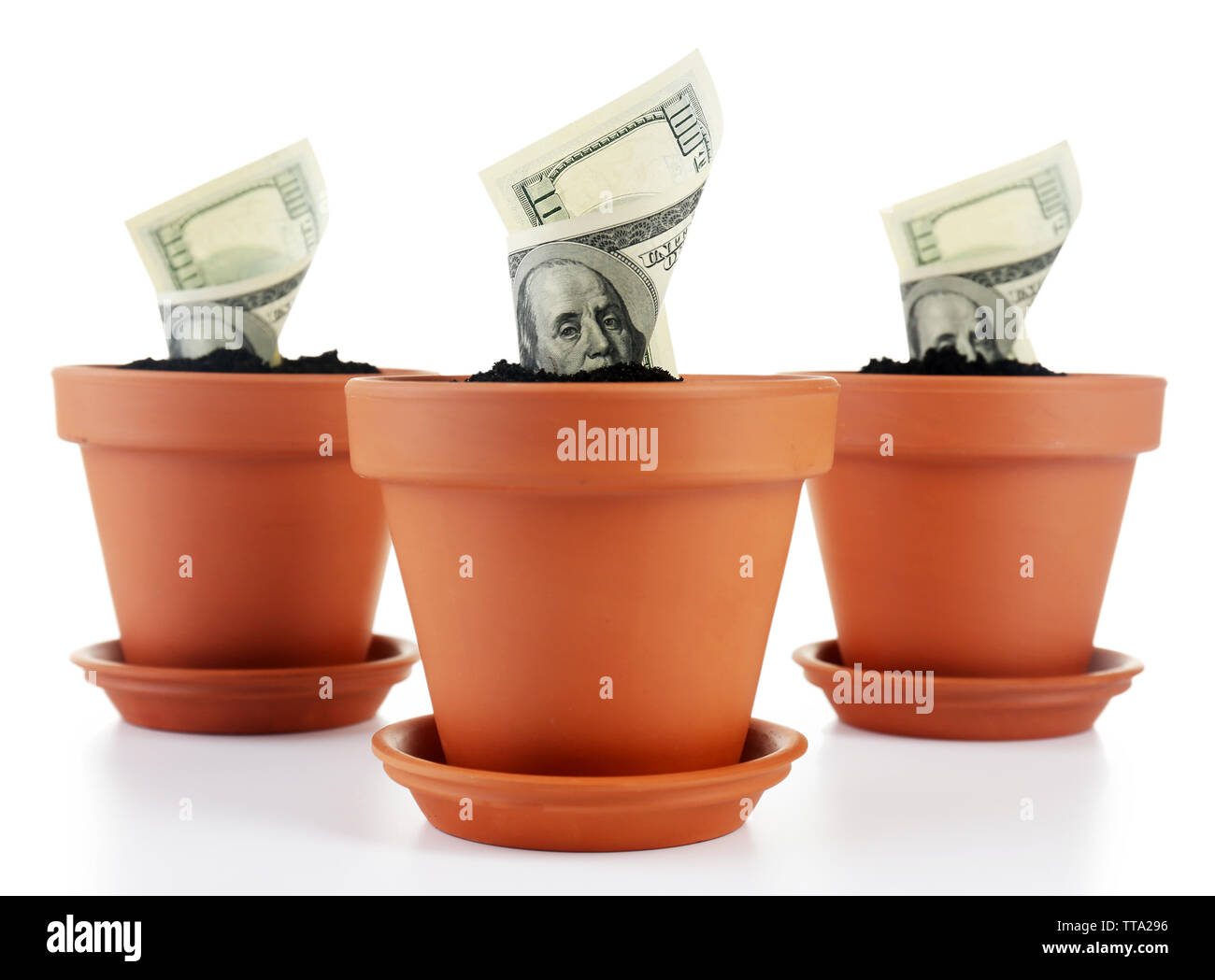 Growing money in flowerpots isolated on white Stock Photo - Alamy