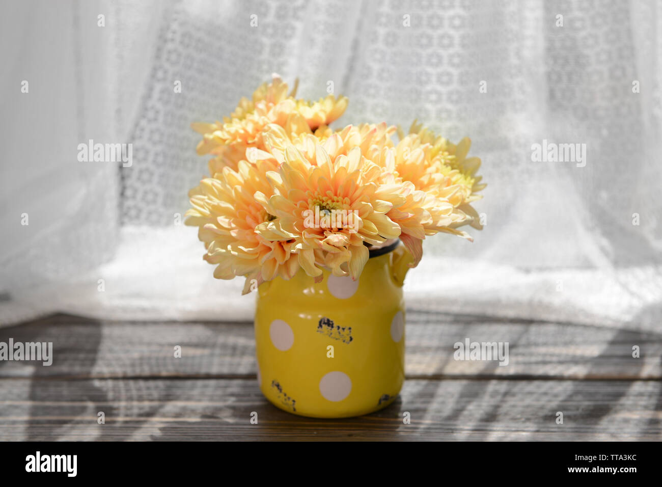 Beautiful chrysanthemums in pitcher on fabric background Stock Photo ...