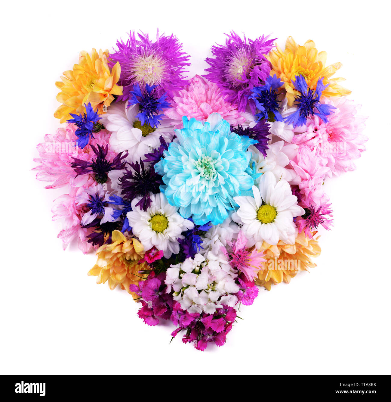 Beautiful flowers in heart shape isolated on white Stock Photo - Alamy