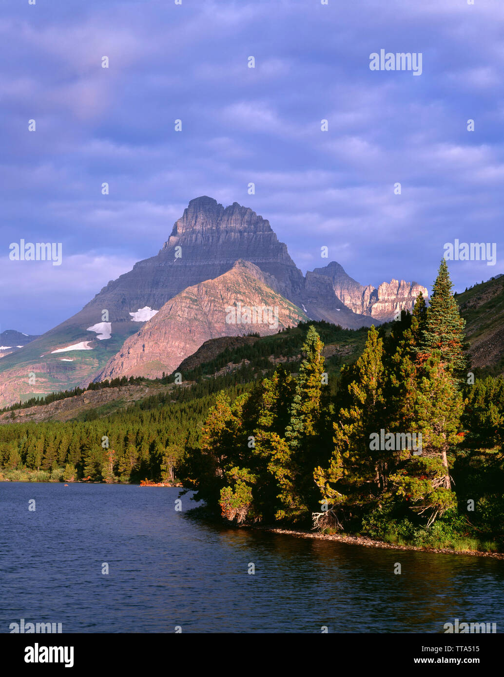 USA, Montana, Glacier National Park, Mount Wilbur towers above conifer ...