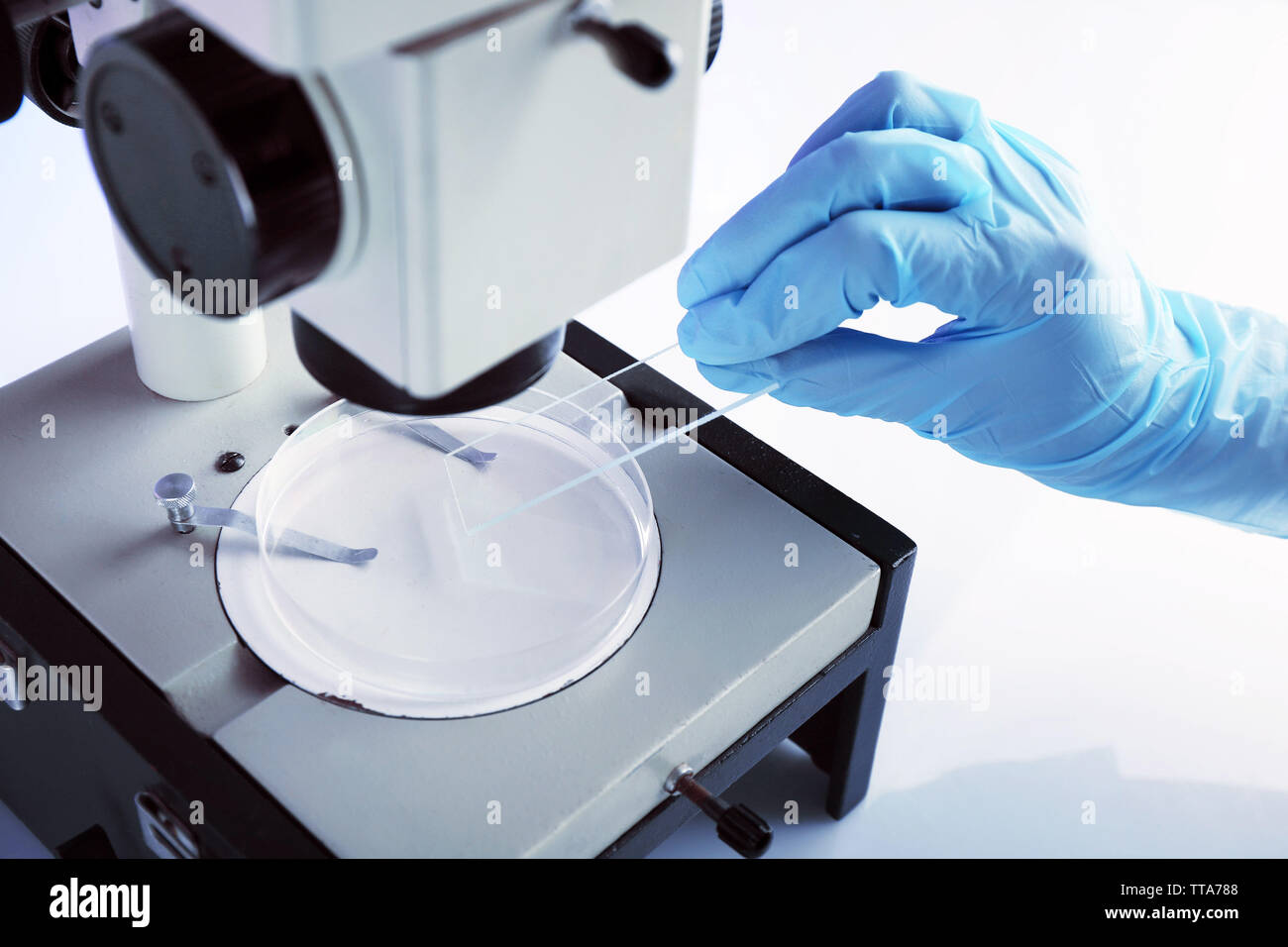 Scientist working with microscope in laboratory Stock Photo - Alamy