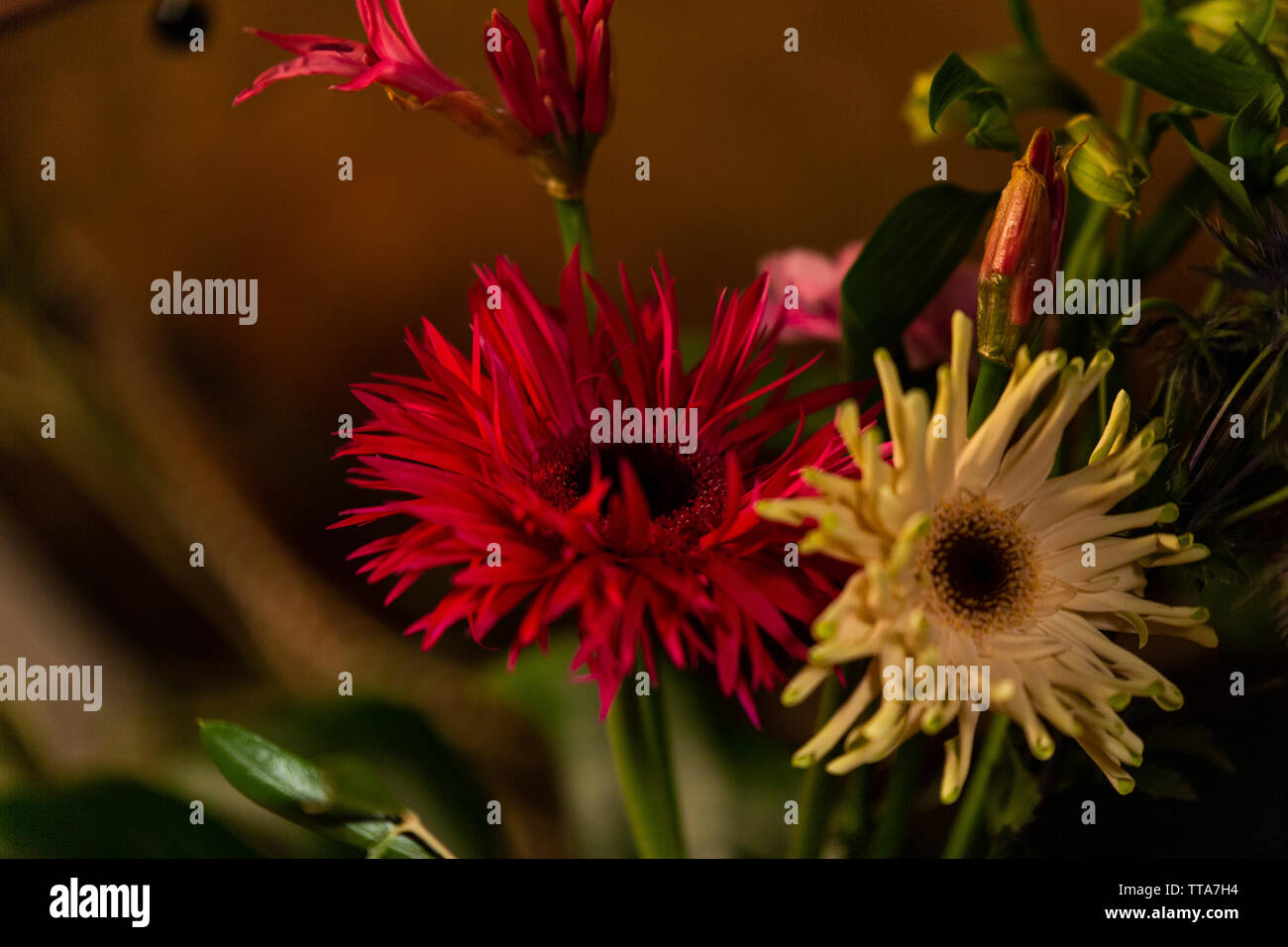 Autumn and Winter Themed Flower Arrangement Stock Photo - Alamy