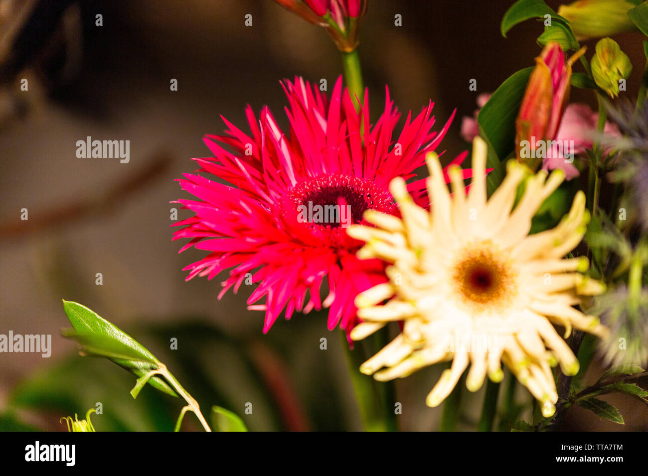 Autumn and Winter Themed Flower Arrangement Stock Photo - Alamy