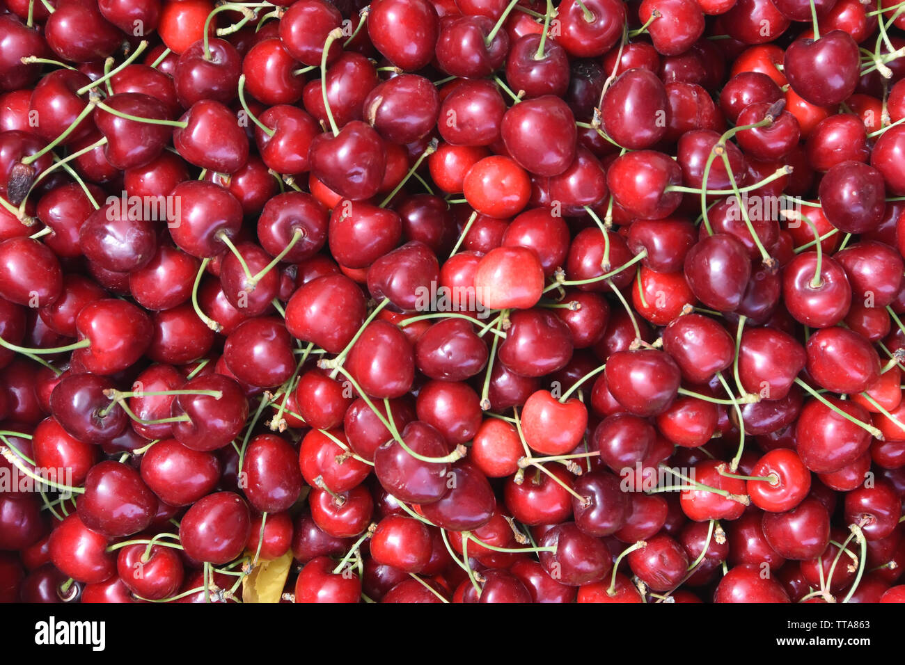 Vibrant local market in hi-res stock photography and images - Alamy