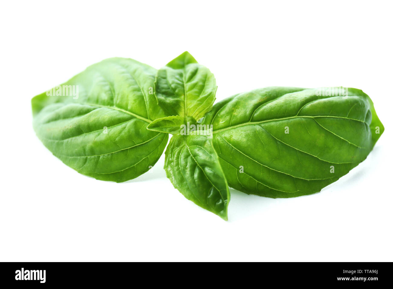 Green fresh basil isolated in white Stock Photo - Alamy