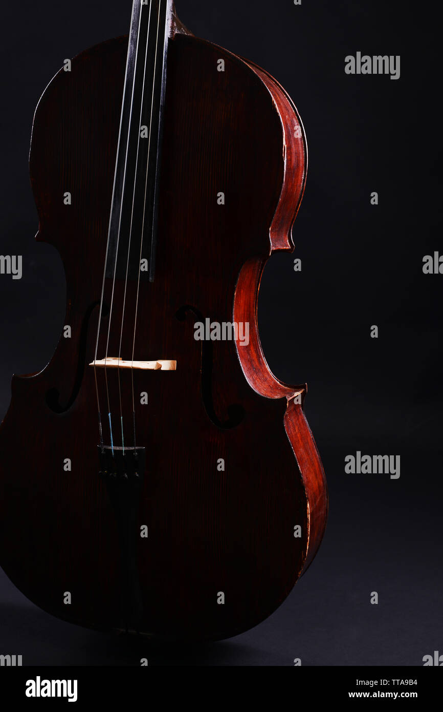 Violinist silhouette vintage hi-res stock photography and images - Alamy